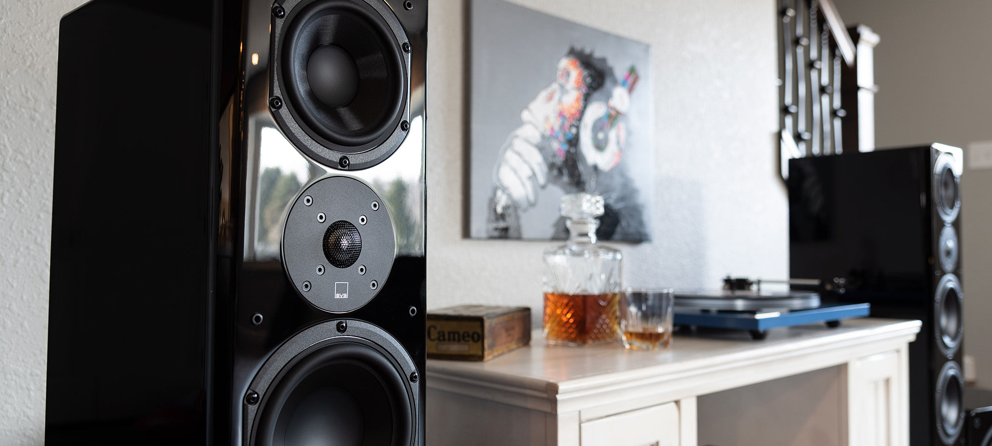 What is Stereo Imaging? – SVS