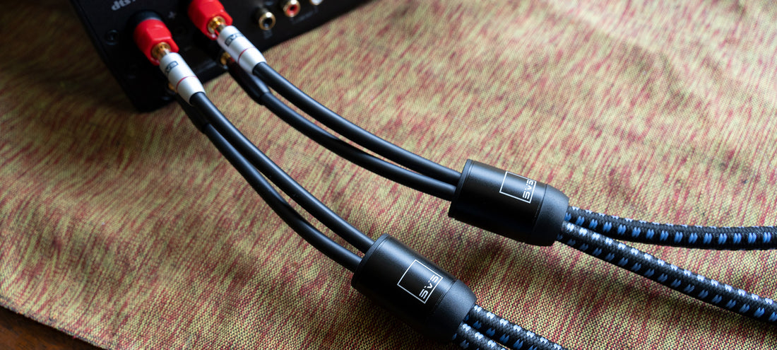 What is Speaker Bi-Amping? | SVS Sound Experts Blog