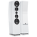 SVS Ultra Evolution Pinnacle Speaker