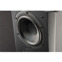 Prime Pinnacle | Tower Speaker for Home Theater & HiFi | SVS
